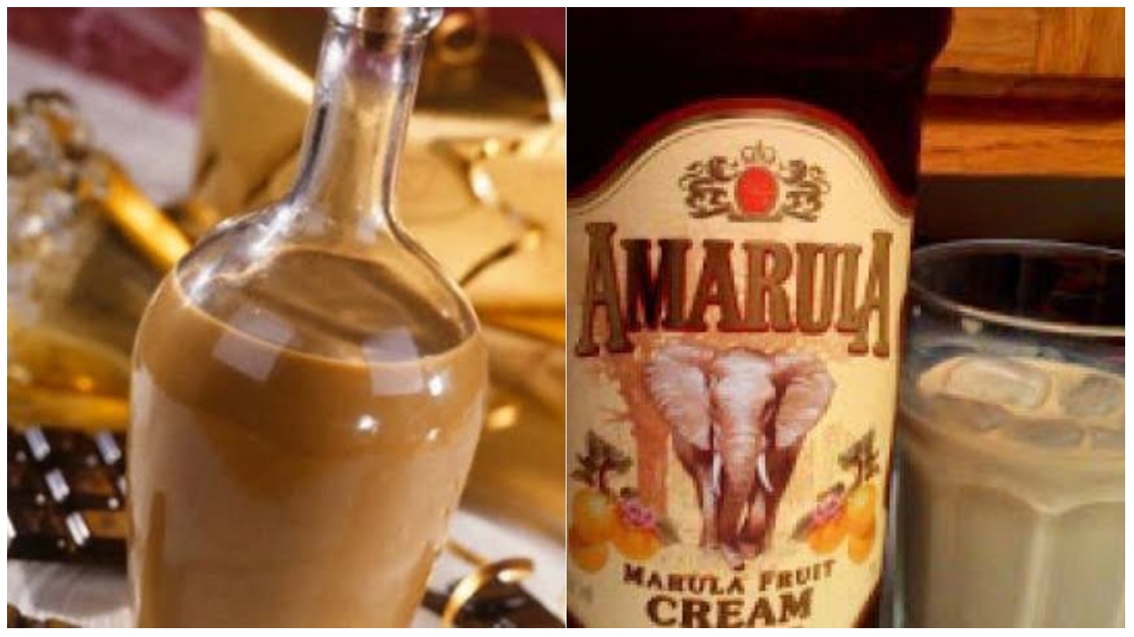 Amarula Caseira: Receita Fácil e mega gostosa – Receitas Fáceis e Práticas